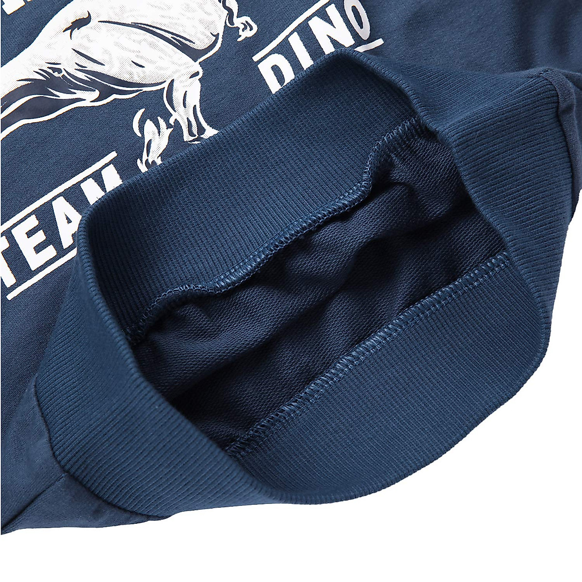 Akyzic Boy Dinosaur Sweatshirts Toddler Long Sleeve Cotton Pullover Cartoon T-Shirts Sport Top Tee For Kids 2-7T dinosaur3-8009-4T