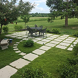 Outsidepride 5000 Seeds Perennial Irish Moss Low Growing, Mat Forming, Ground Cover Seeds for Planting