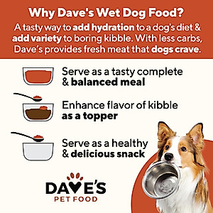 Dave's Pet Food Grain Free Wet Dog Food (Pork & Sweet Potato in Broth), Made in Canada Naturally Healthy Canned Dog Food, Added Vitamins & Minerals, Wheat & Gluten-Free, 13.2 oz (Case of 12)