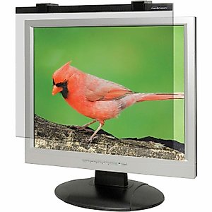 Business Source 20513 Filter, f/19-Inch -20-Inch LCD Wide-screens, Antiglare, 16:10
