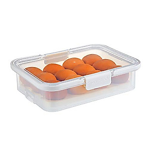 SnapLock by Progressive Collapsible Egg Carrier, One Size, White