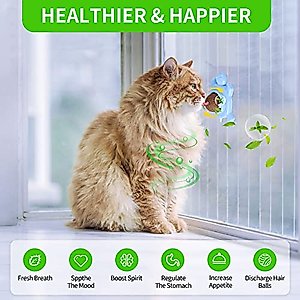 Catnip Ball ‖ Catnip Balls for Cats Wall: silvervine for Cats, 3-Piece Silvervine Catnip Cat Toys for Indoor Cats, Edible Cat nips Organic Ball, Cute Silvervine Cat Toy