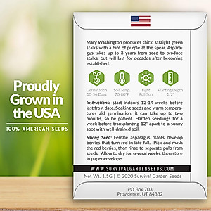 Survival Garden Seeds - Mary Washington Asparagus Seed for Planting - Packet with Instructions to Plant and Grow Long Lasting Perennials in Your Home Vegetable Garden - Non-GMO Heirloom Variety
