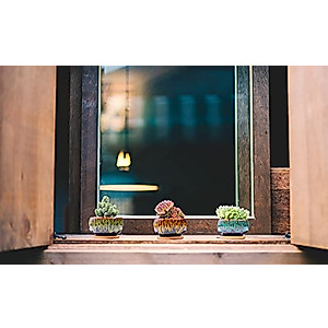 LAMDAWN Cute Ceramic Succulent Garden Pots, Planter with Drainage and Attached Saucer, Set of 5 -Plants Not Included (Round)