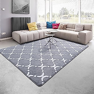 QXKAKA Soft Shag Geometric Area Rug, Modern Indoor Carpet for Bedroom Living Room, 4'x6' Memory Foam Kids Rug for Nursery Play Mat, Moroccan Trellis Fluffy Rug Accent Room Decor, Grey/White