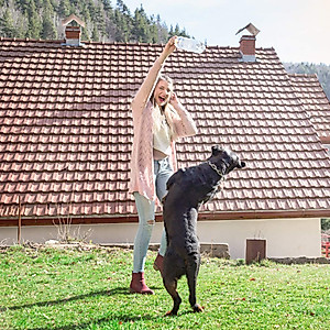 Home for Pets Dog Crate Cage Extra Folding Large Double Door Pet Crate,Includes Divider and Tray,48,Black