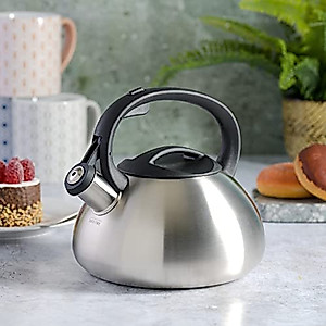 Mr Coffee Harpwell Stainless Steel Whistling Tea Kettle, 1.8-Quart, Brushed Stainless Steel