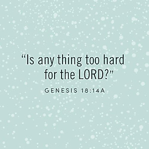 God of Covenant - Bible Study Book: A Study of Genesis 12-50