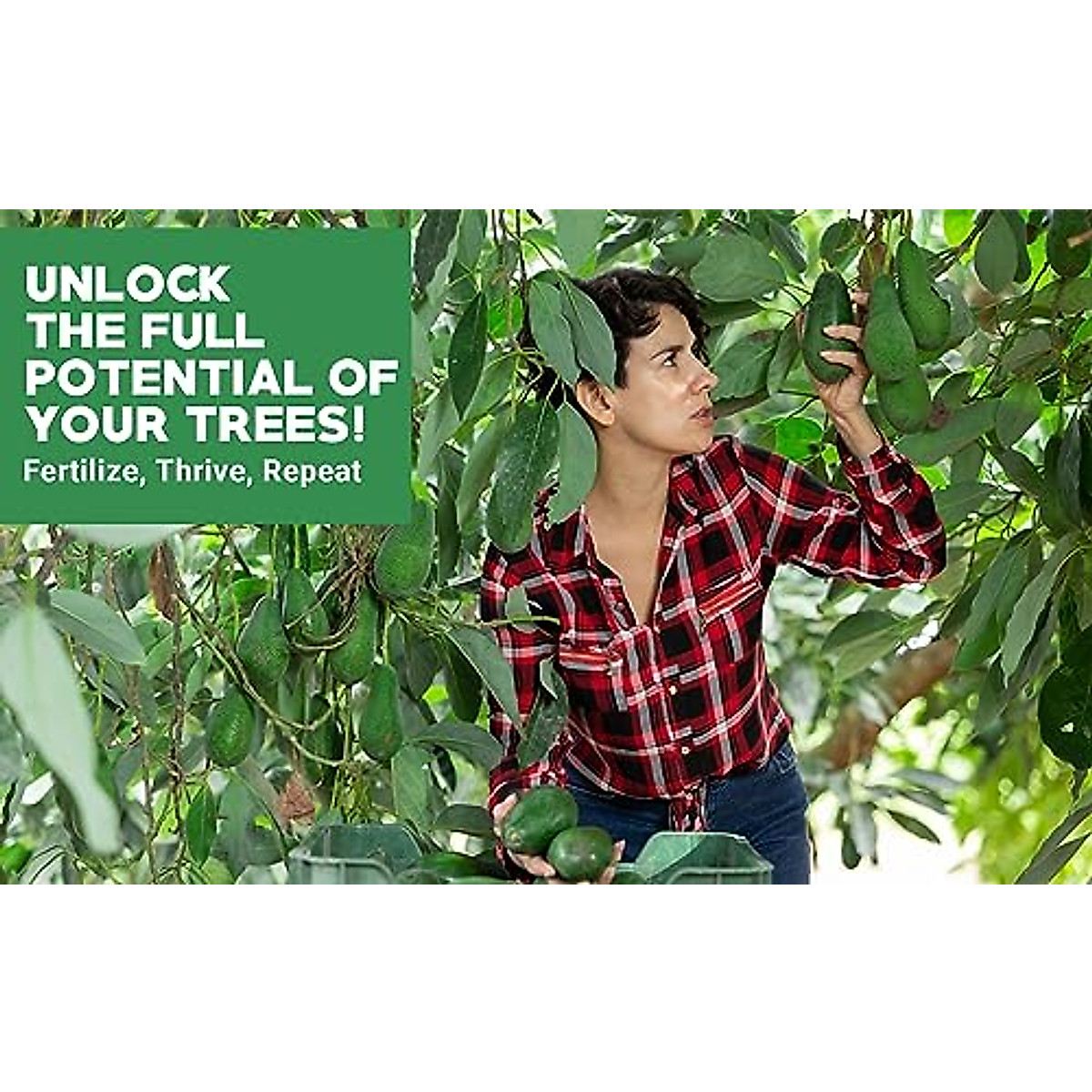 Gardenwise 6-4-6 Avocado and Citrus Tree Professional Fertilizer Plant Food for Outdoor/Indoor Gardening; Quick-Release Nitrogen Fertilizer; Orange, Lime, Avocado and Lemon Tree Fertilizer (2 QUARTS)