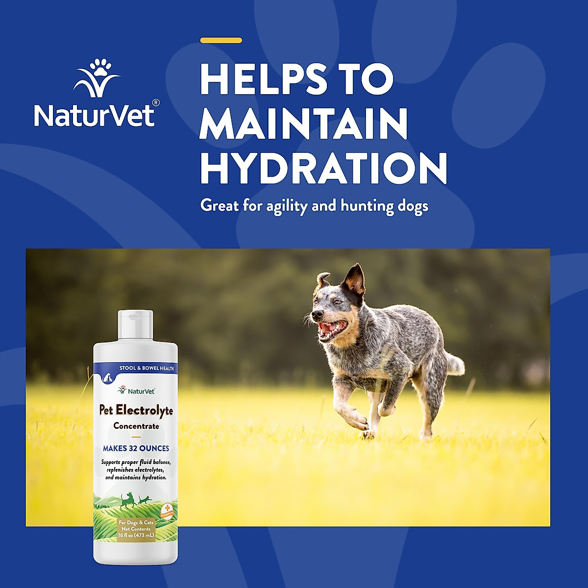 NaturVet Pet Electrolyte Concentrate for Dogs and Cats, 16 oz Liquid Concentrate, Made in The USA with Globally Source Ingredients