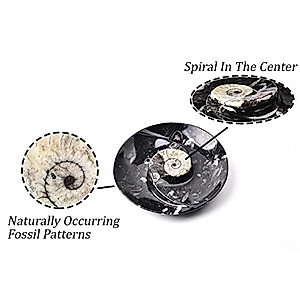 AMOYSTONE Morocco Fossil Bowls Natural Decorative Bowls Orthoceras Fossil Plate Round Stone Tray Unique Quartz Decorative Fossil for Collection, Jewelry Plate, Home Decor 5.5"