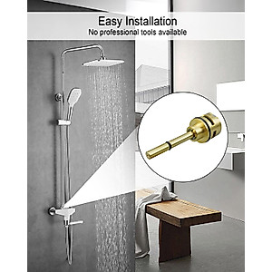 6 Setting Diverter Cartridge Replace RP51919 Fit for R11000 R22000, 6 Way Shower Faucet Valve Brass Faucet Replacement