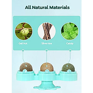 Petslucent Catnip Ball for Cats Wall, 3in1 Cat Toys Wall Ball Mint Balls Lick Roller, Cat Nip Silvervine Edible Kitty Safe Healthy Kitten Teeth Cleaning Dental Cat Toy Chew Toys Indoor