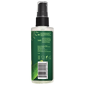 Desert Essence Relief Spray - 4 Fl Oz - Antiseptic Eco-Harvest Tea Tree Oil & Other Essential Oils - Natural First Aid - Minor Burns - Sunburn - Insect Bites - Scrapes - May Comfort Aching Feet