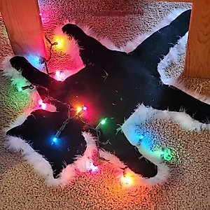 Light Up Fried Cat Rug, Funny Aunt Bethany’s Fried Pussycat Rug from National Lampoon’s Humour Christmas Vacation Decoration Carpet, for Family Friends (Color Light)