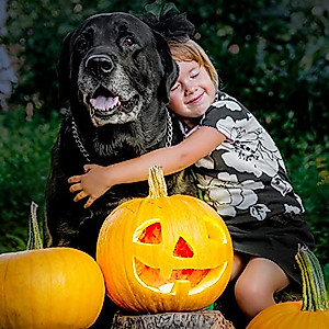 swesara Battery Operated Push Lights Stick On, 16 Colors Changeable Black Dimmable Battery Powered Puck Lights with Wireless Remote for Under Cabinet, Classroom Closet or Bedroom(3 Pack)