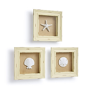 Beachy Set of 3 Shell Shabby Chic Shadow Boxes- Creamy Off White Frame 7" x 7" - Starfish, Sand Dollar and Clam Shell Mounted on Fabric Background by Tumbler Home