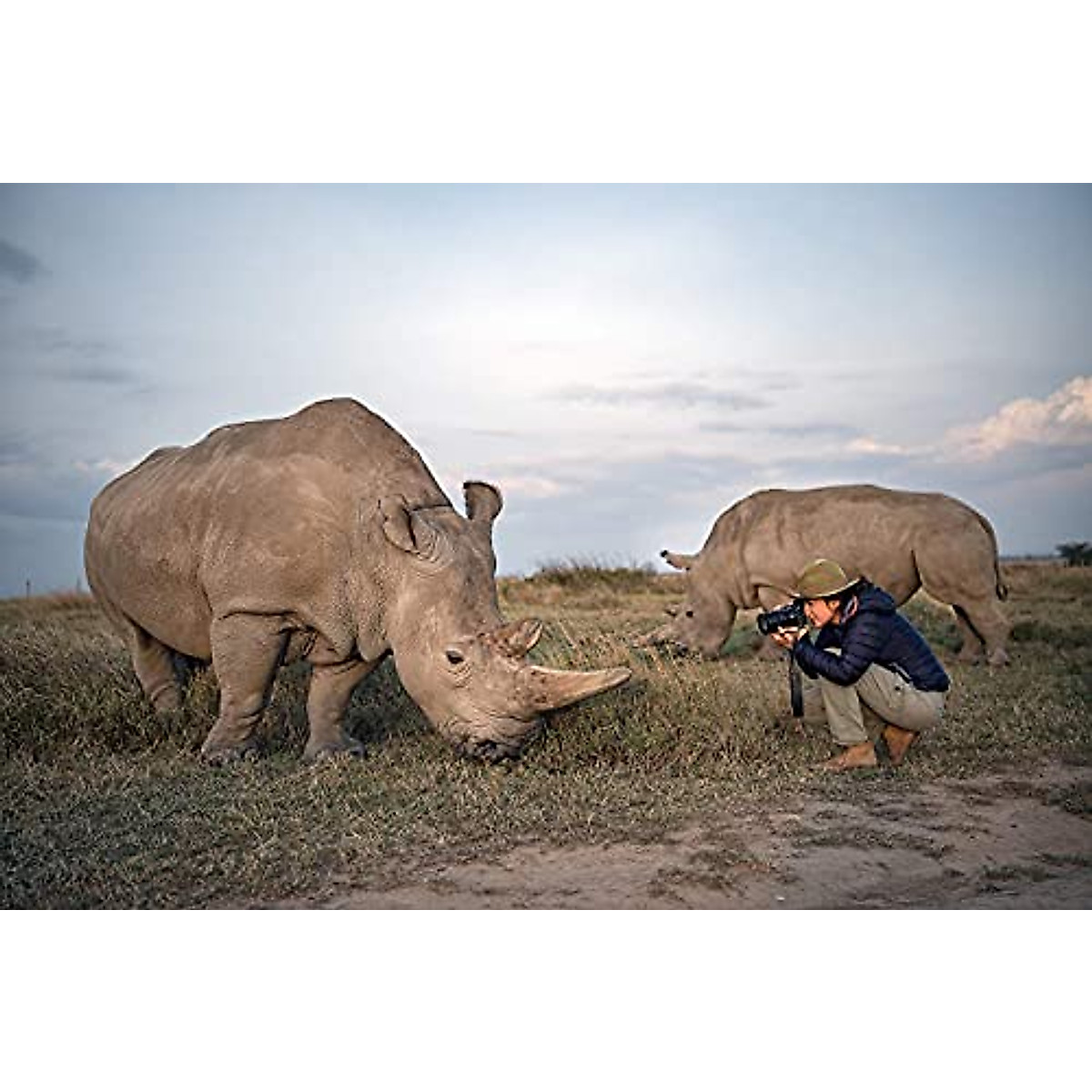 Nikon D6 FX-Format Digital SLR Camera Body, Black (Renewed)