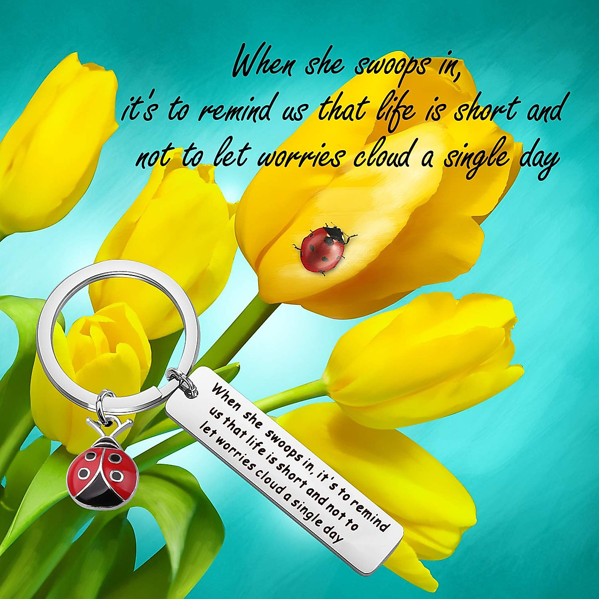 WUSUANED Good Luck Ladybug Keychain When She Swoops In It Remind Us Not Be Let Worries Cloud A Single Day Ladybug Lover Gift