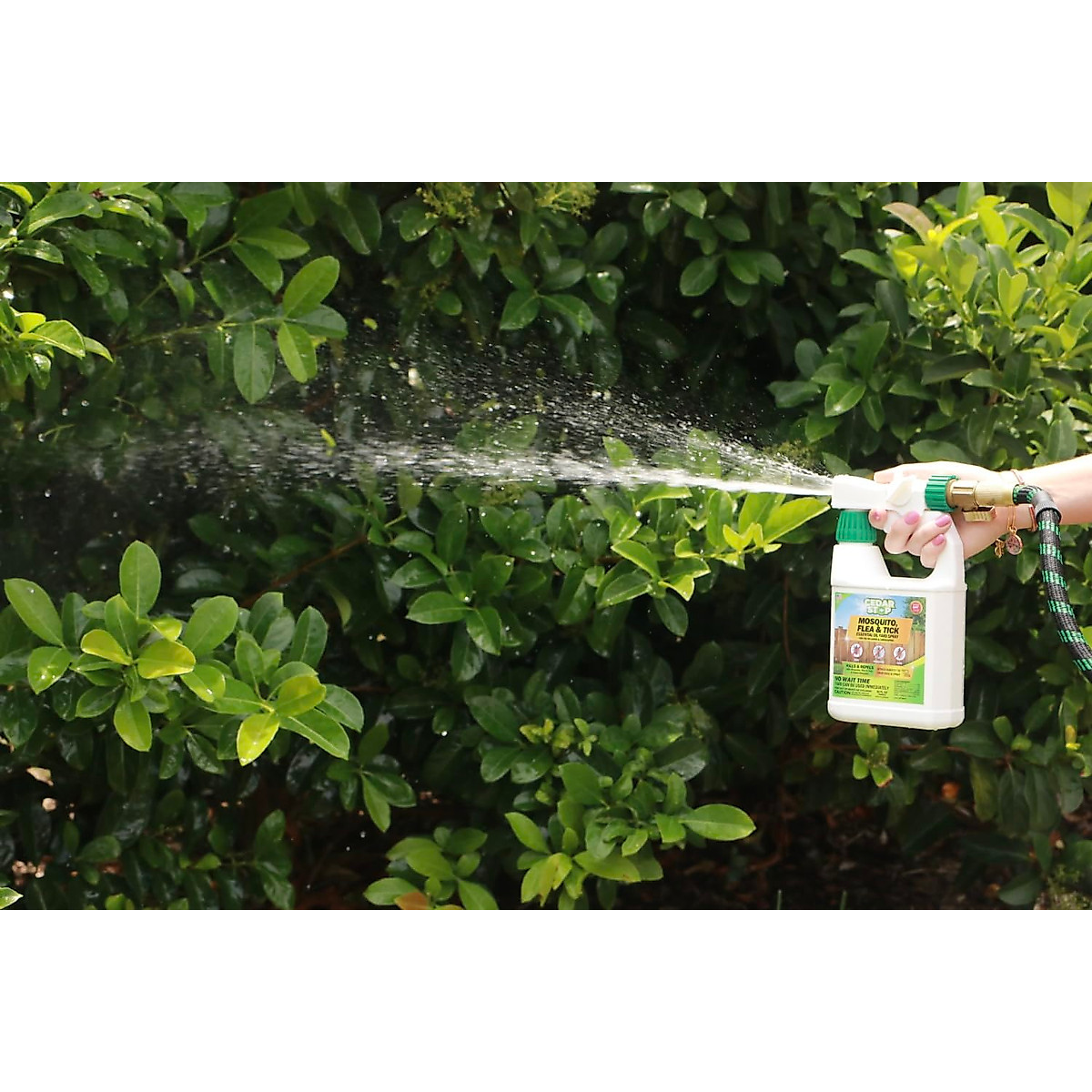 CedarStop 32 Ounce Essential Oil Yard Spray - Plant Based Flea, Tick and Mosquito Repellent Pest Control Spray Treatment and Insect Killer - Safe Around Kids, Pets, and Plants