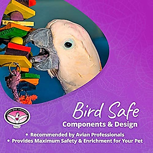 Super Bird Creations SB440 4 Way Play Bird Toy with Colorful Wooden Blocks & Ringing Bell, Large Bird Size, 15” x 7” x 7”