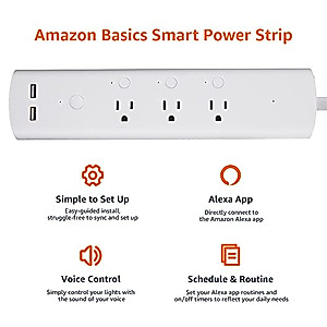 Amazon Basics Outdoor Smart Plug, Amazon Basics Smart Plug Power Strip, and Echo Dot (3rd Gen) Bundle | Automate Indoor and Outdoor Holiday Lighting