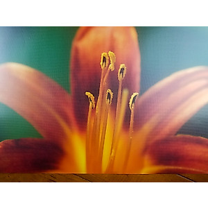 8.5" X 11" Canvas Textured Premium Inkjet Photo Paper - 5 Sheets