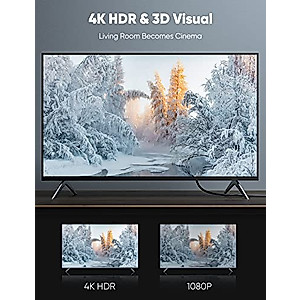 Capshi 4K Long HDMI Cable 35ft/10M, in-Wall CL3 Rated HDMI Cable 2.0 Support (HDR10 8/10bit 18Gbps HDCP2.2 ARC) High Speed HD Shielded Cord Compatible with Roku TV/Laptop/PC/HDTV