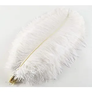 TBUY ROSE 6-9 inch 15-20cm Natural Ostrich Feathers Bulk for Christmas Halloween Home Party Wedding Centerpieces DIY Craft, 20 Pack (White)