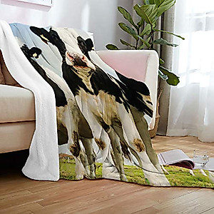 Singingin Ultra Soft Flannel Fleece Bed Blanket Farm Blue Sky Cow Throw Blanket All Season Warm Fuzzy Light Weight Cozy Plush Blankets for Living Room/Bedroom 40 x 50 inches