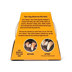 Arm & Hammer for Pets Dip & Brush Tartar Control Enzymatic Toothpaste Kit | Easy to Use Tartar Control Dog Dental Care Kit | Beef Flavored Dog Toothpaste in Fresh Mint Scent