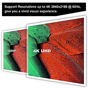 LEENUE HDMI Keystone Jack Pigtail Cable, HDMI Female to Female Pigtail Extension Cable 4k Coupler (2-Pack)-6 Inches