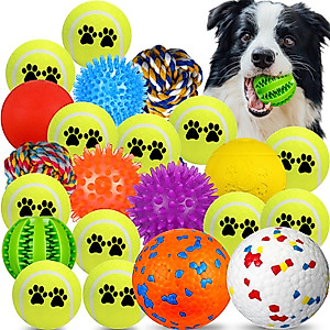 Shappy 22 Pcs Dog Balls Toys Dog Puzzle Teething Toys Ball Squeaky Dog Toys Dog Tennis Balls Durable Bouncy Floating Balls Rope Balls Dog Toys Solid Rubber Ball for Puppies Small Medium Large Dogs
