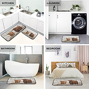 JUNZAN Scottish Highland Cow Kitchen Rugs and Mats Set of 2 Non Slip Anti Fatigue Runner Rug for Farmhouse Laundryroom Bathroom Home Western Decor Floor Mat