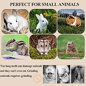 HERCOCCI 2 Pack Bunny Chew Toys for Rabbits, Natural Handmade - Rabbit Cage Hanging Toys for Rabbits Guinea Pigs Hamsters Gerbils Rats