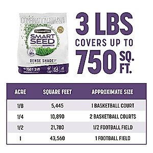 Pennington Smart Seed Dense Shade Grass Mix 3 lb