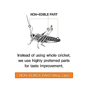 REPTQ Super Food (Fruit & Insect) - Protein, Lactic Acid, Vitamin D3 - Natural Crested Gecko Food - Omnivore Food Mix for Pet Reptiles & Bearded Dragons