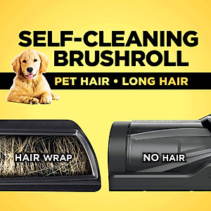 Shark HZ2002 Vertex Ultralight Corded Stick DuoClean PowerFins & Self-Cleaning Brushroll, Perfect for Pets, Removable Hand Vacuum, Upholstery Tool, Dusting & Power Brushes, Cobalt Blue