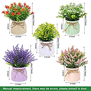 CEWOR Small Fake Plants - 5 Pack Artificial Potted Flowers Faux Greenery Plants, Eucalyptus Boxwood Lavender in Plastic Macaron Pots Bonsai for Home Office Shelf Desktop Indoor Outdoor Wedding Decor