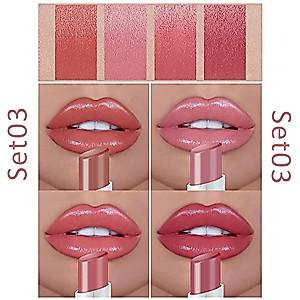 evpct 4Pcs Nude Pink Mauve Rose Red Glossy Matte Lipstick Lip Gloss Sets Kit for Women Girls Teens Lip Color Changing Lip Balm All Day Lipstick Waterproof Long Lasting 24 Matte Lipstick Samples Case