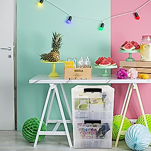 Qskely 30 L Clear Plastic Collapsible Storage Crate, Folding Storage Box with Lid, 4-Pack