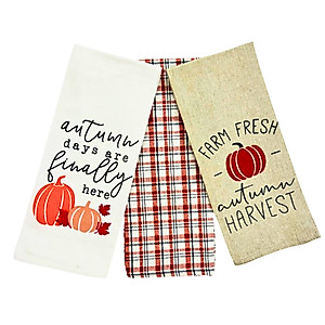 Serafina Home Farmhouse Kitchen Dish Towels: Autumn Days are Finally Here, Enjoy! Pumpkin Theme (Design 4)