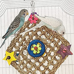 通用 XH Bird Parrot Toys,Bird Foraging Wall Toy with Hanging Hook, Seagrass Woven Mat with Colorful Wooden Blocks,Suitable for Lovebirds, Budgerigars, Conure, Cockatiel