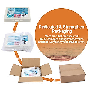 120 Prepared Microscope Slides for Kids & Students, Microscope Glass Slides Set Including Animal & Plant Specimens, Suitable for School and Home Education