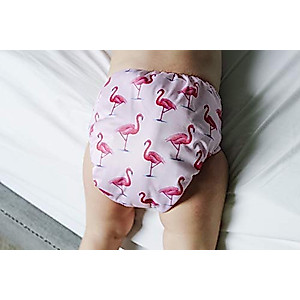 ALVA Cloth Diaper One Size Adjustable Washable Reusable for Baby Girls and Boys 6 Pack with 12 Inserts 6DM61