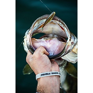 Berkley PowerBait The Champ Minnow Fishing Soft Bait, HD Rainbow Shiner, 3.4in