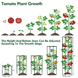 ROADPLUM 3 Pack 48" Tomato Cages for Garden, Plastic Coated Steel Pipe Heavy Duty Adjustable Tomato Stakes Trellis Plant Cages for Vegetable, Fruit, Flower, Rose Vine Climbing Plants