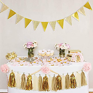 MerryNine Sparkly 30PCS Gold Tassel Garland and 15PCS Paper Pennant Banner Triangle Flags Bunting and 10g Gold Paper Confetti
