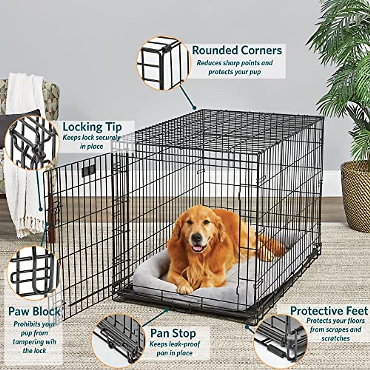 MidWest Homes for Pets Large Dog Crate | MidWest Life Stages Folding Metal Dog Crate | Divider Panel, Floor Protecting Feet, Leak-Proof Dog Pan | 42L x 28W x 31H Inches, Large Dog