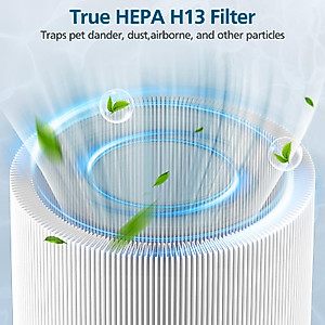 2 Pack Mini Max Air Filter Replacement, Filter Compatible with BLUEAIR Blue Pure Mini Max Air Purifier, True HEPA H13 Filter +Activated Filter